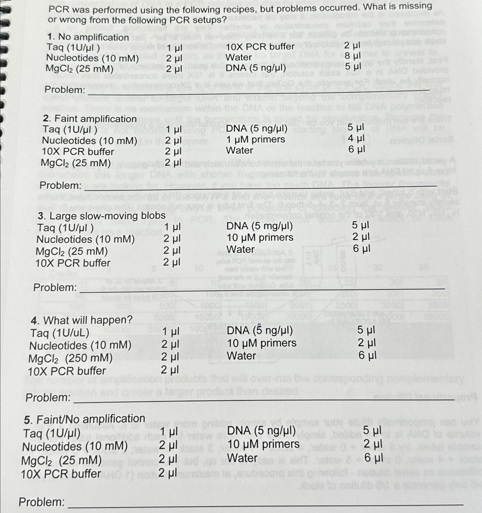 Solved PCR was performed using the following recipes, but | Chegg.com