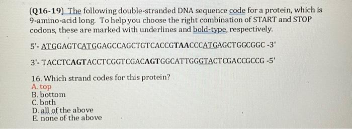 Solved (Q16-19) The following double-stranded DNA sequence | Chegg.com