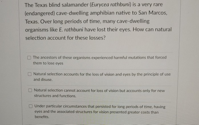 Solved The Texas blind salamander (Eurycea rathbuni) is a | Chegg.com