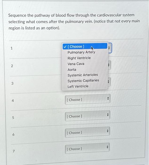 Solved Sequence the pathway of blood flow through the | Chegg.com
