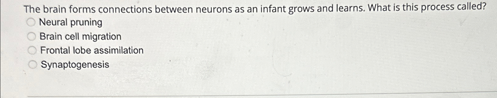 Solved The brain forms connections between neurons as an | Chegg.com
