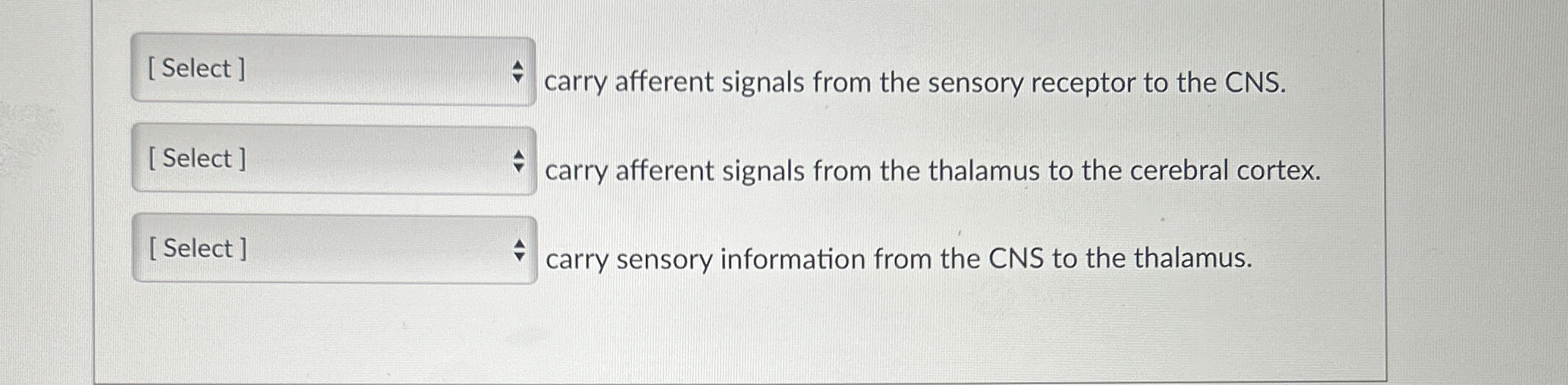 Solved carry afferent signals from the sensory receptor to | Chegg.com