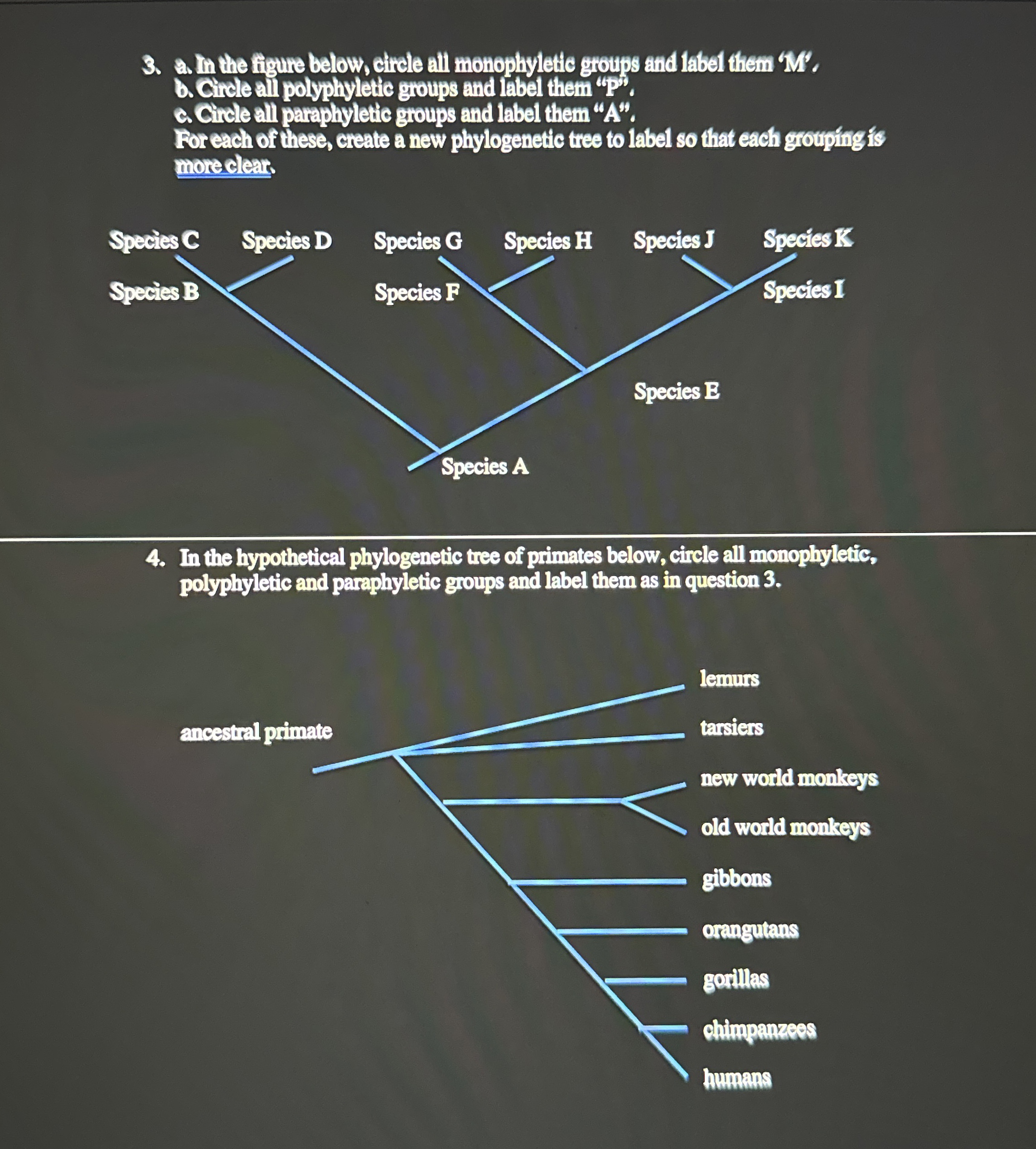 Solved a. ﻿In the figure below, circle all monophyletic | Chegg.com