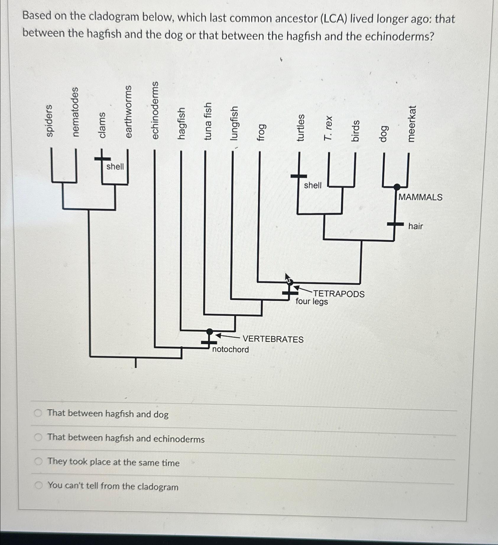 Solved Based on the cladogram below, which last common | Chegg.com