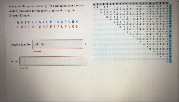 Solved Calculate the percent identity (also called percent | Chegg.com