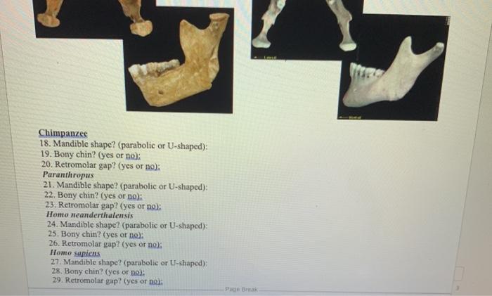 Solved Examine the chimpanzee, Paranthropus, H. | Chegg.com