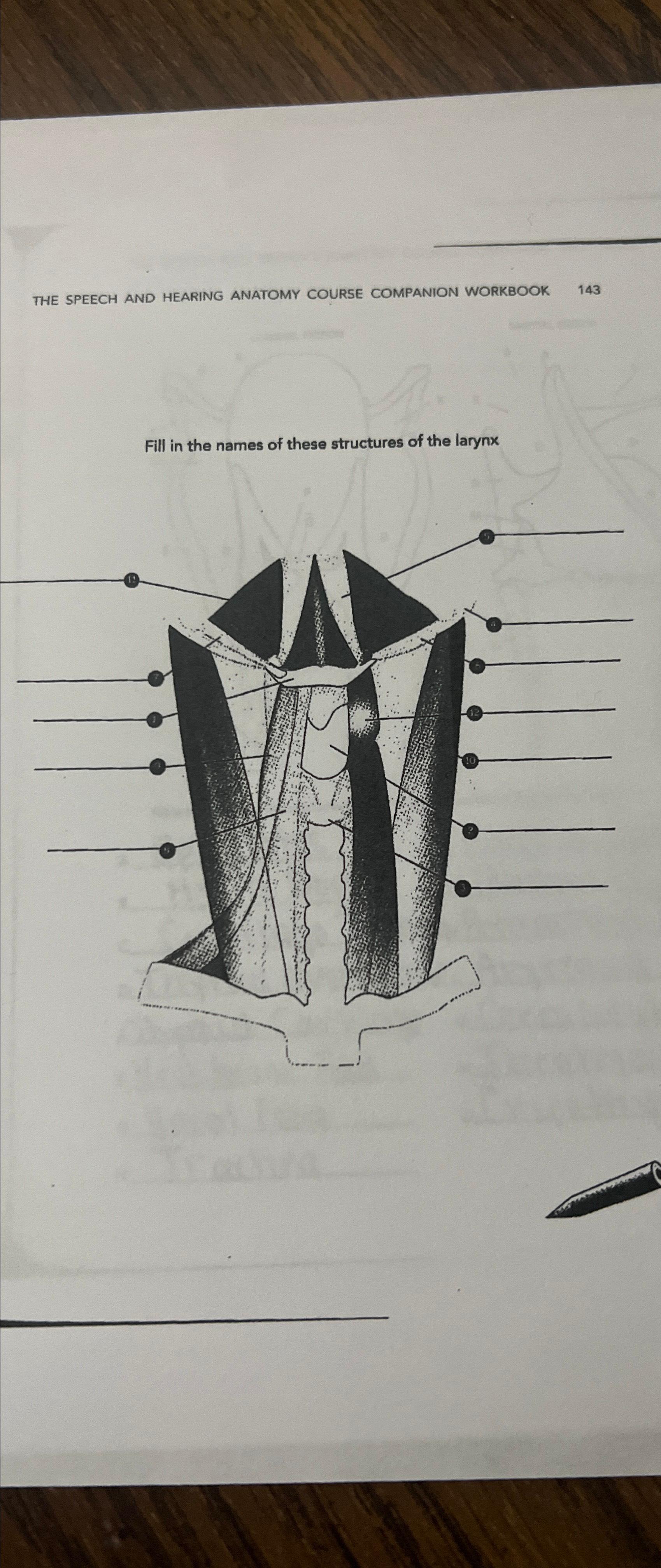 Solved Fill in the names of these structures of the larynx | Chegg.com