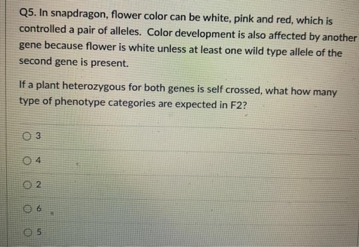 Solved Q5. In snapdragon, flower color can be white, pink | Chegg.com