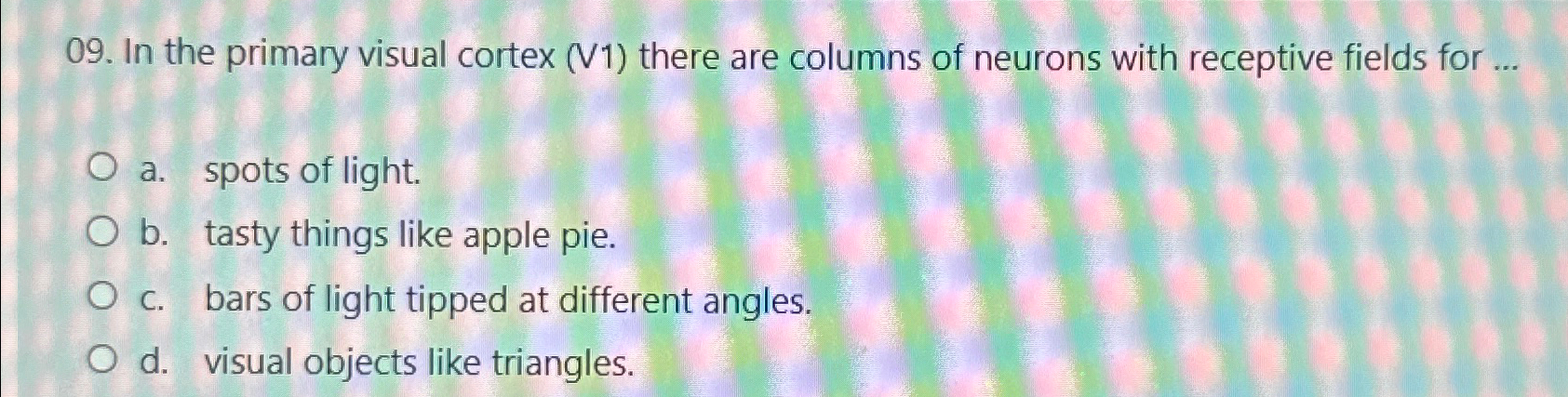Solved In the primary visual cortex (V1) ﻿there are columns | Chegg.com