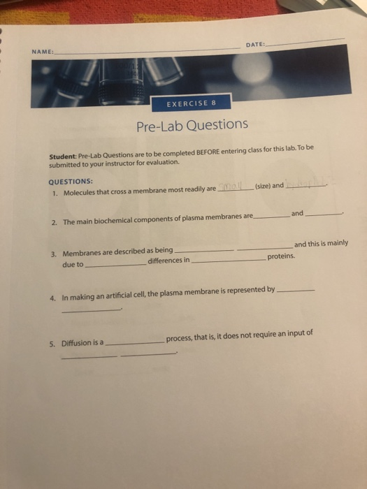 Solved EXERCISES Pre-Lab Questions Student: Pre-Lab | Chegg.com
