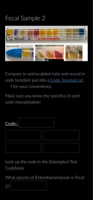Solved Fecal Sample 2 Compare to uninoculated tube and | Chegg.com