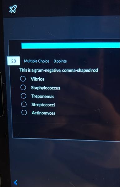 Solved 28Multiple Choice3 ﻿pointsThis is a gram-negative, | Chegg.com