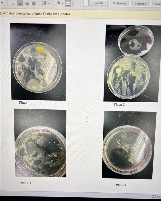 Solved Hi, so im having trouble writing a discussion of | Chegg.com
