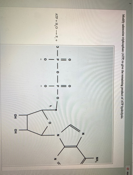 Solved Att Modify adenosine triphosphate (ATP) to give the | Chegg.com