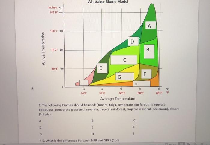 Solved Whittaker Biome Model Inches cm 1575' 400 А 118.1" | Chegg.com