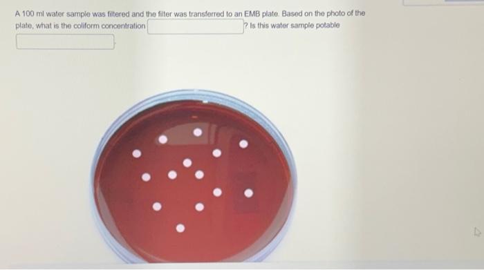 Solved A 100ml water sample was filtered and the filter was | Chegg.com
