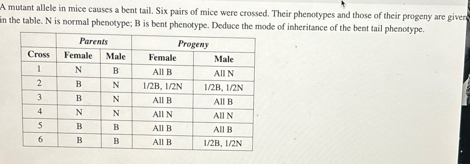 Solved A mutant allele in mice causes a bent tail. Six pairs | Chegg.com