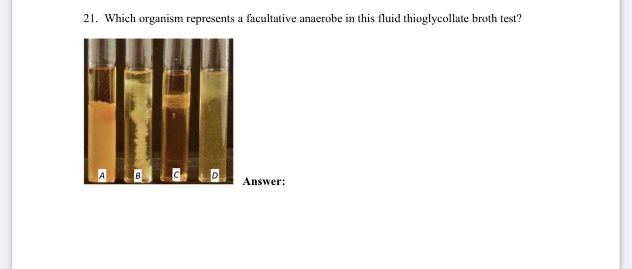 Solved Which organism represents a facultative anaerobe in | Chegg.com
