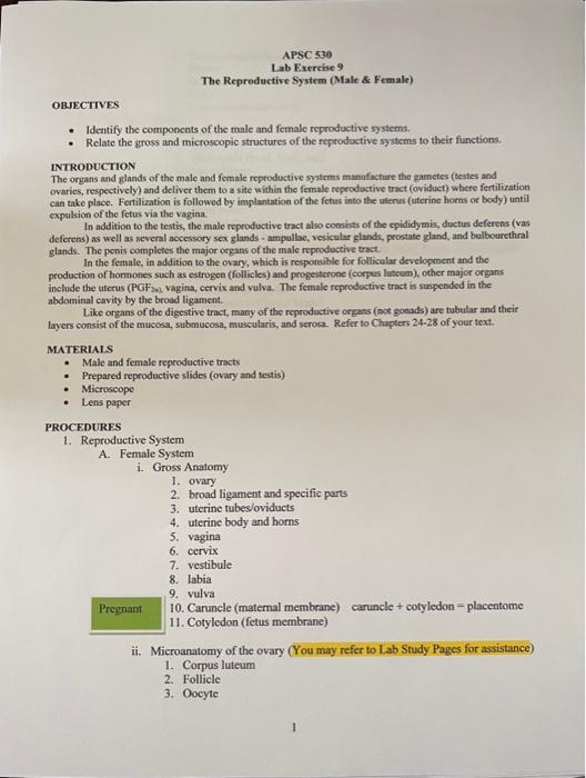 Solved APSC 530 Lab Exercise 9 The Reproductive System (Male | Chegg.com