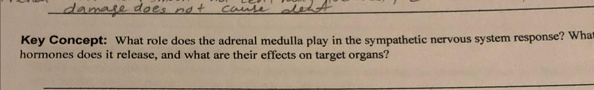 Solved Key Concept: What role does the adrenal medulla play | Chegg.com