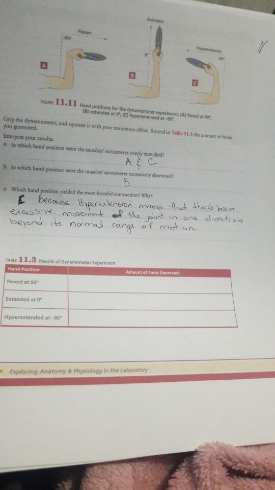 Solved GURE 11.11 Hand positions for the dynamometer | Chegg.com