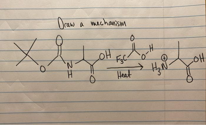 Solved Draw Iraw a mechanism X - oH H o Lott 애 'N Fzc Heat | Chegg.com