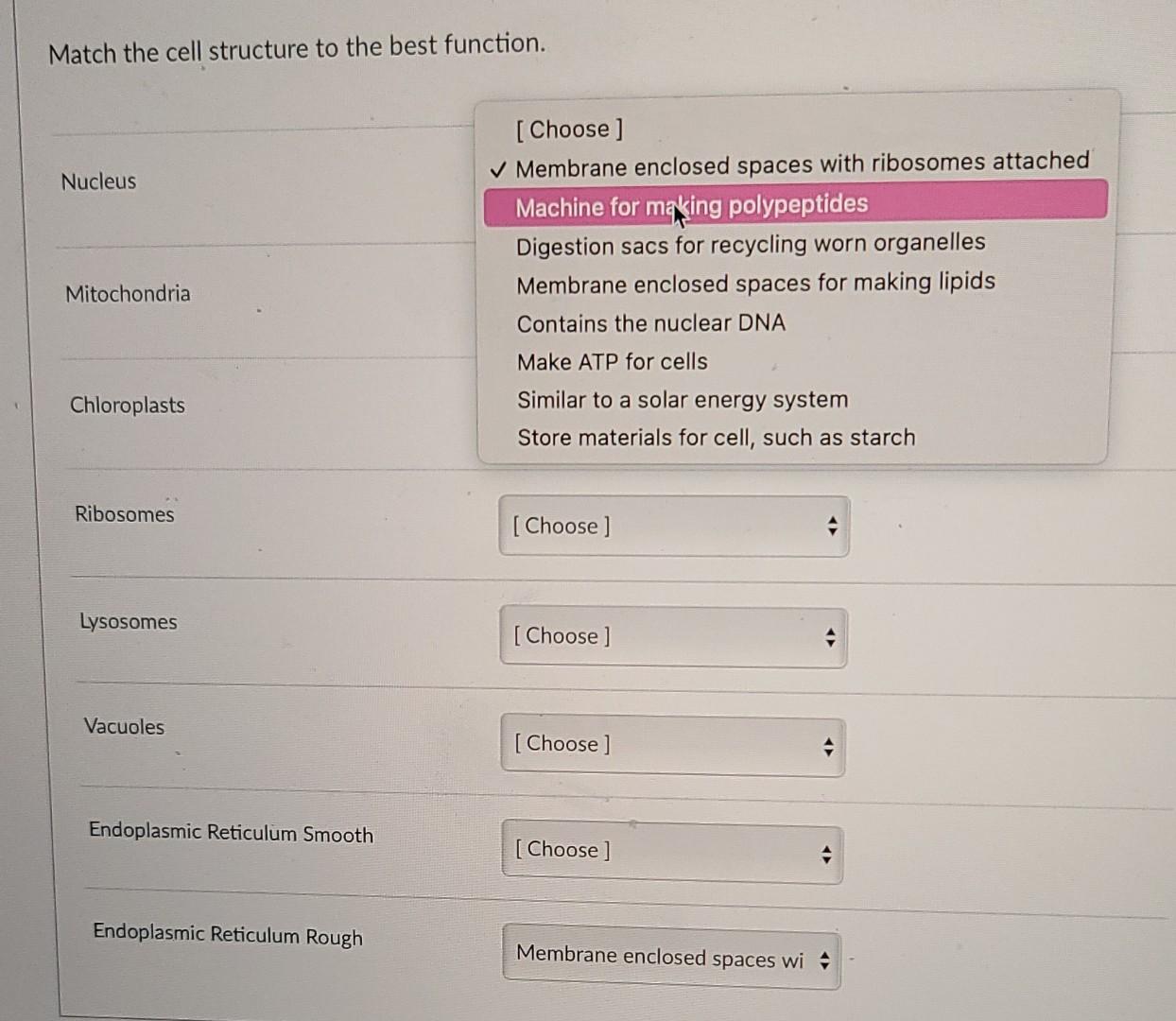 Solved Match the cell structure to the best function. | Chegg.com