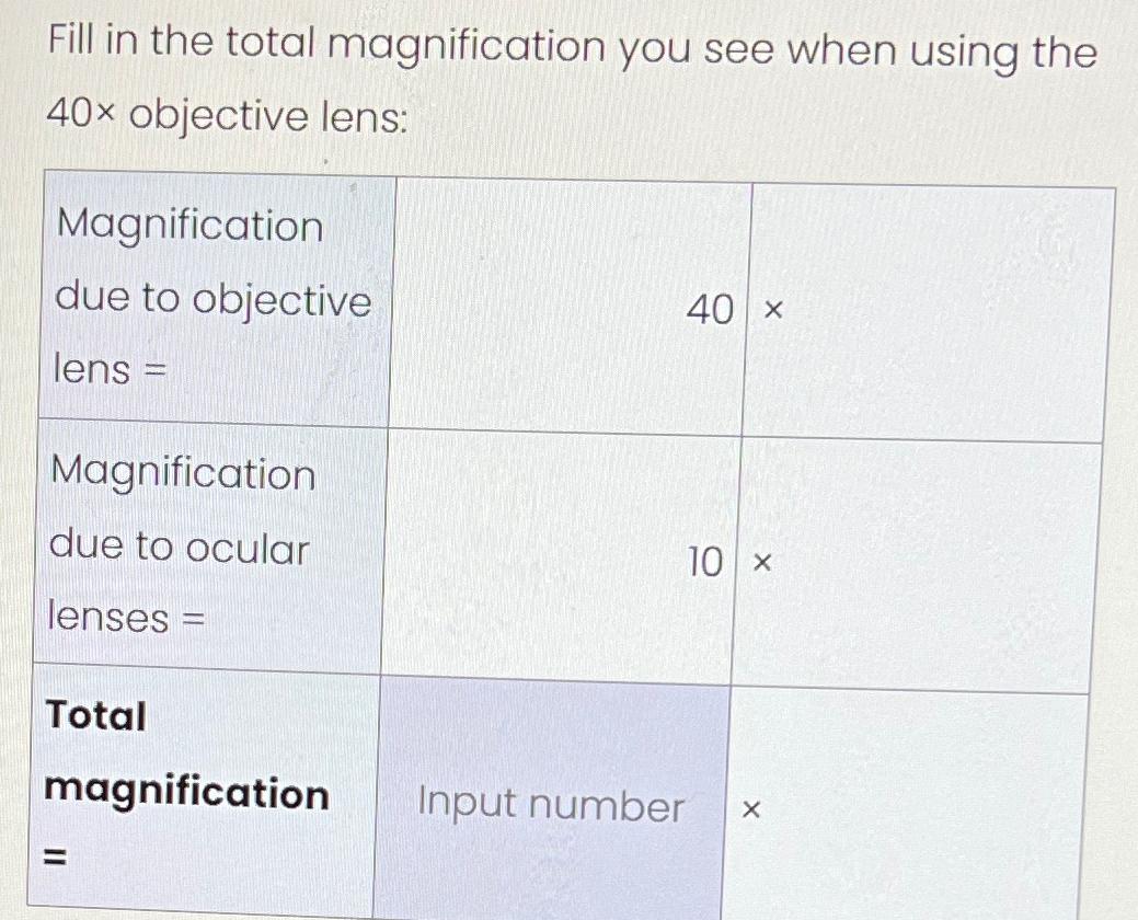 Solved Fill in the total magnification you see when using | Chegg.com