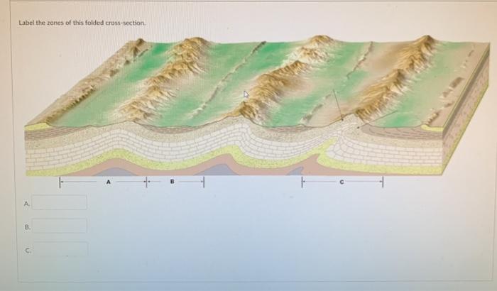 Solved Label the zones of this folded cross-section A B C | Chegg.com