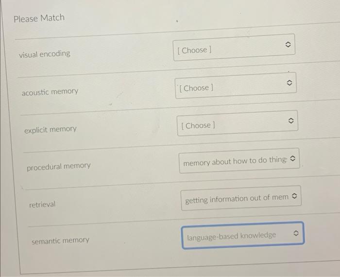 Solved Please Match ( [ Choose visual encoding acoustic | Chegg.com