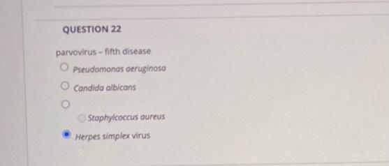 Solved QUESTION 22 parvovirus - fifth disease Pseudomonas | Chegg.com