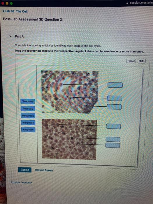 session.masterin (Lab 03: The Cell Post-Lab | Chegg.com