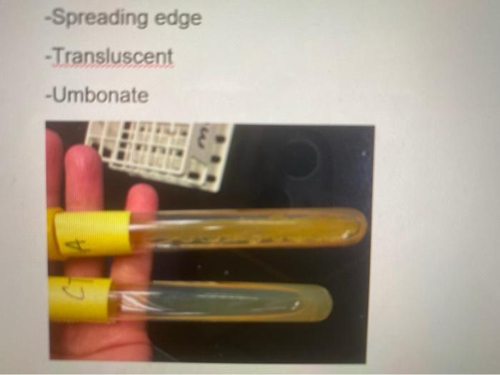 Question 18. What is the growth pattern for the slant | Chegg.com