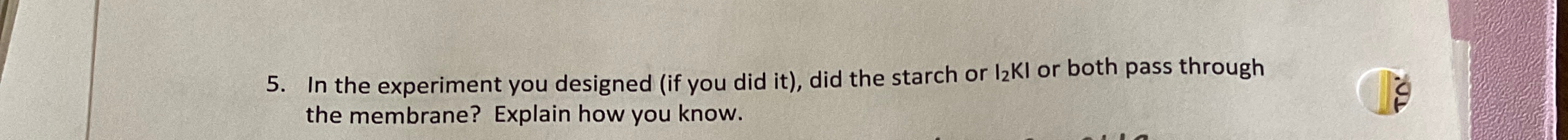 Solved In the experiment you designed (if you did it), ﻿did | Chegg.com