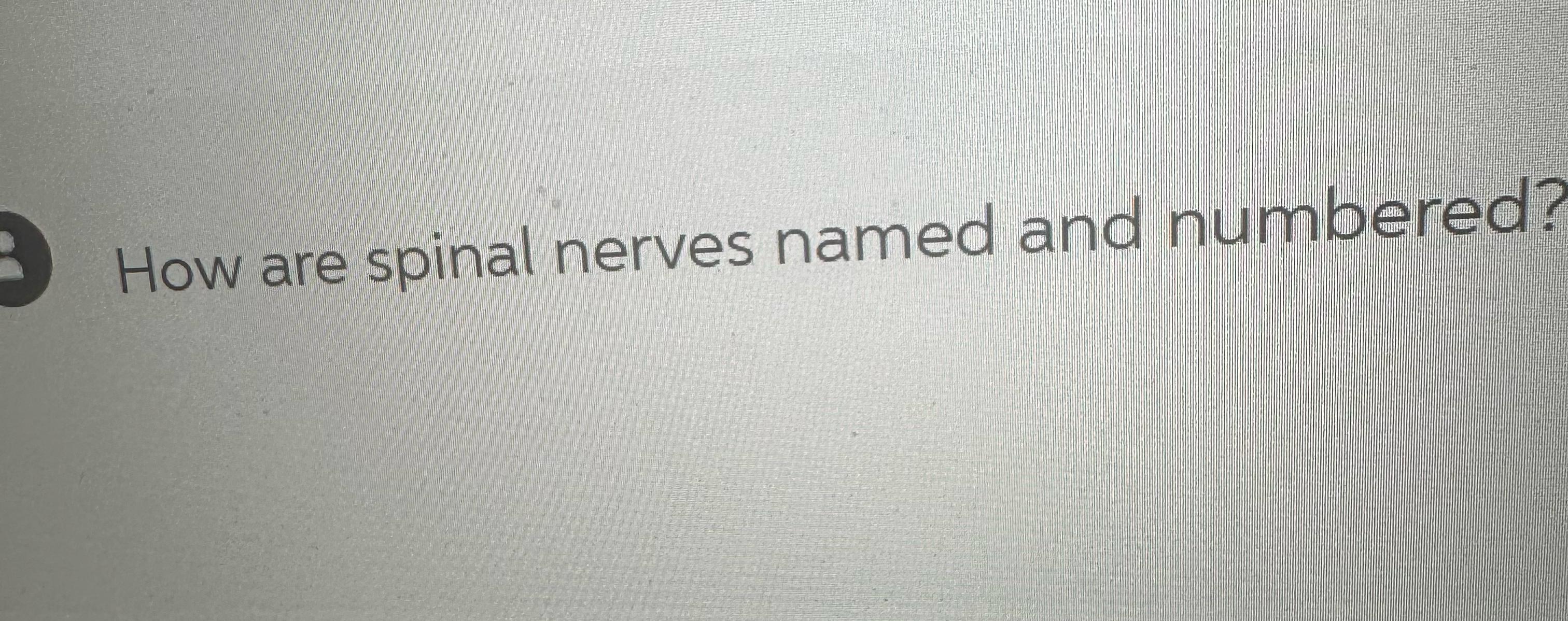 Solved How are spinal nerves named and numbered? | Chegg.com