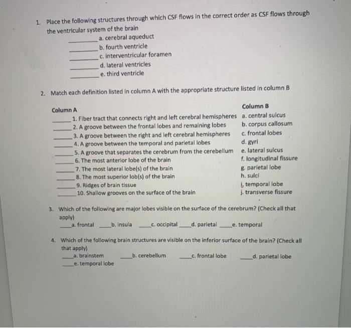 Solved 1. Place the following structures through which CSF | Chegg.com