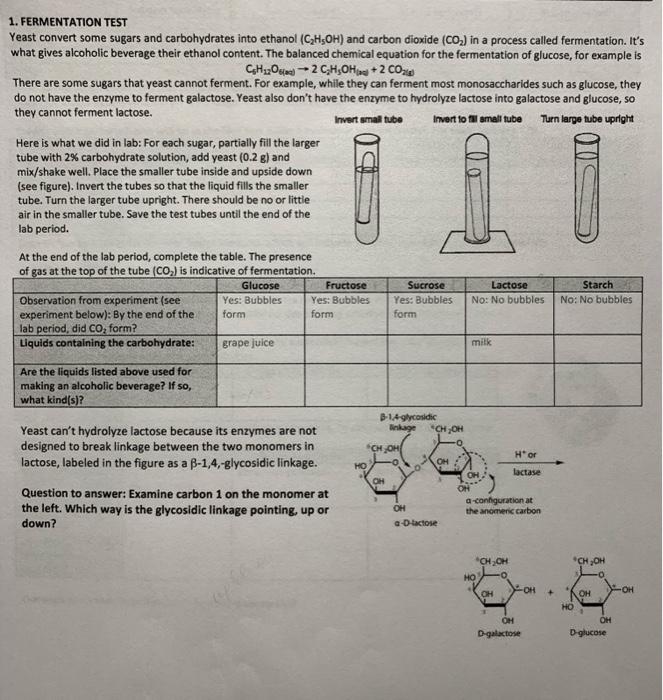 1. FERMENTATION TEST Yeast convert some sugars and | Chegg.com