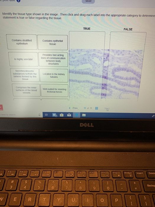 Solved: Https://newconnectmheducation.com/flow/connect.htm... | Chegg.com