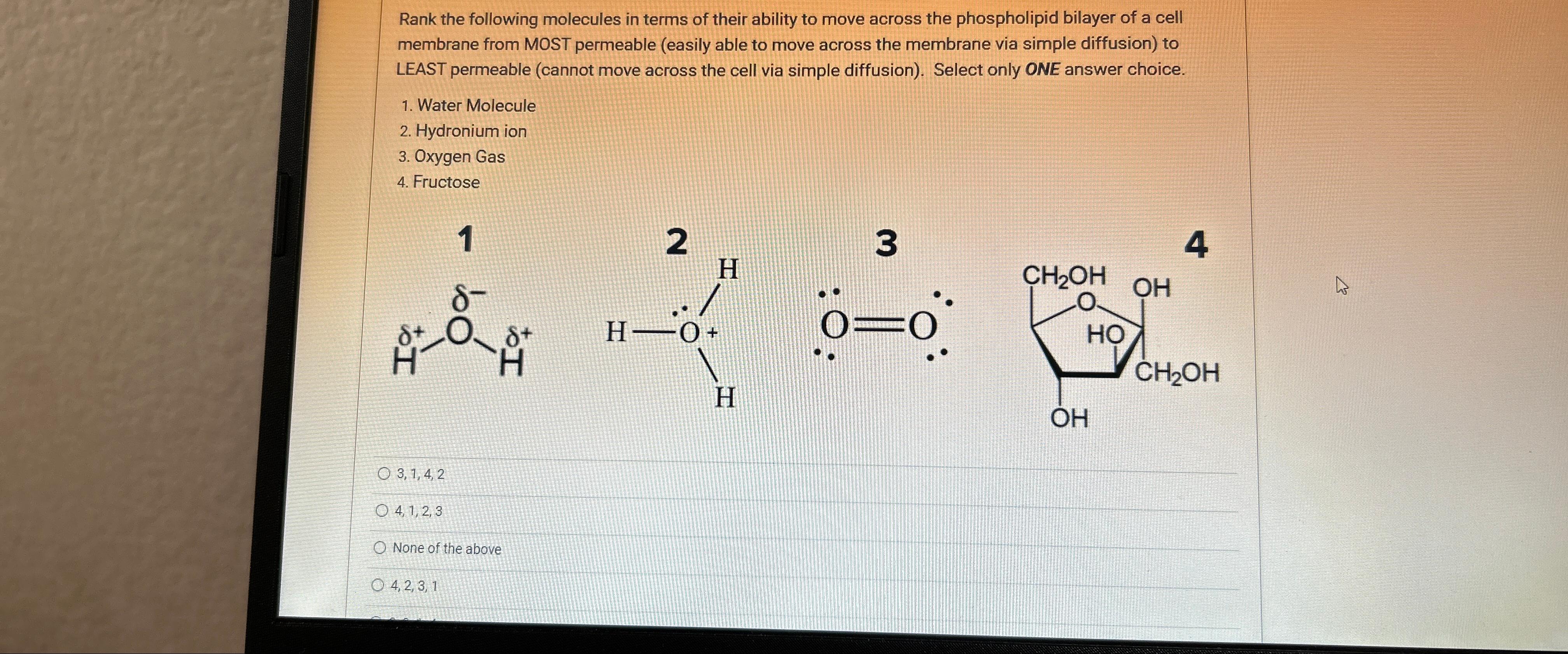 Solved Rank the following molecules in terms of their | Chegg.com