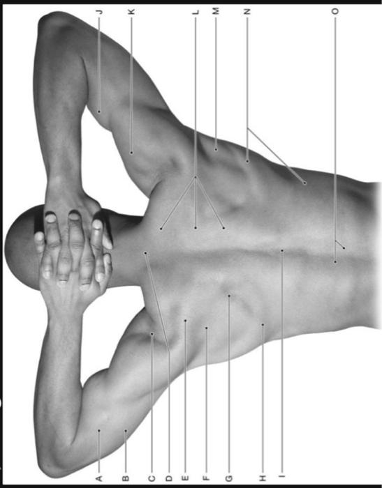 Solved please label | Chegg.com