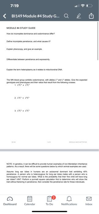 Solved The NeN biood group exhibits codominance. wen alleies | Chegg.com