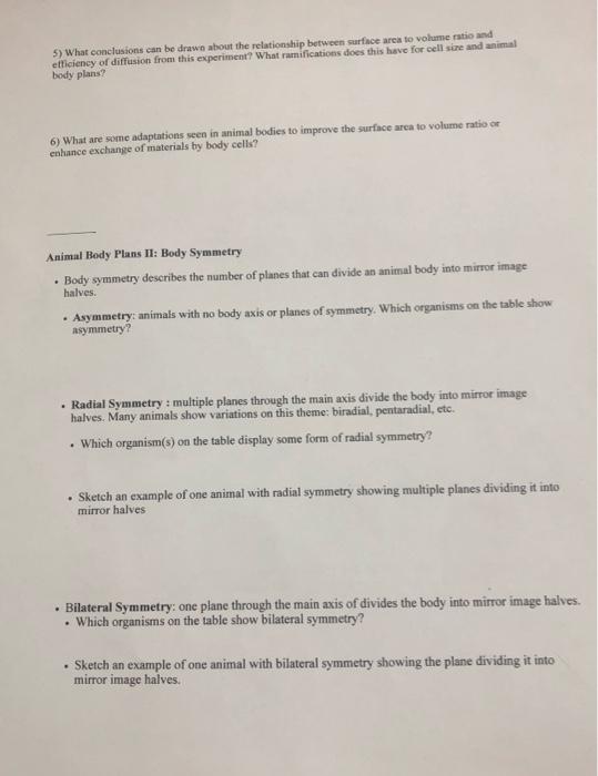 Solved Animal Body Plan Overview Animal Size and the Surface | Chegg.com