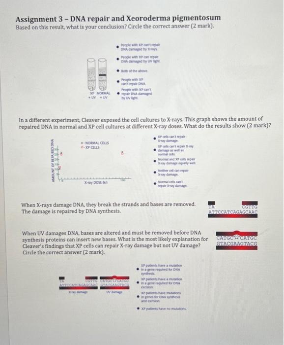 Solved skin of person with XP skin of person without XP | Chegg.com