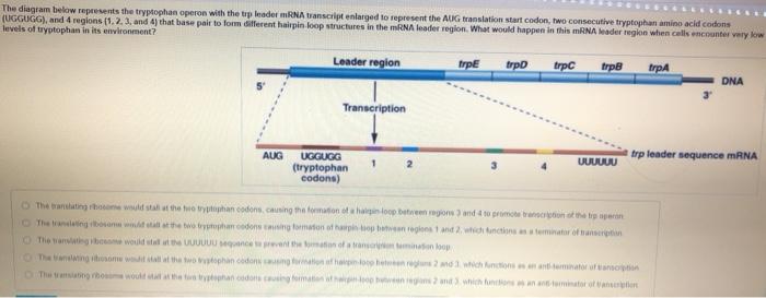 The diagram below represents the tryptophan operon | Chegg.com