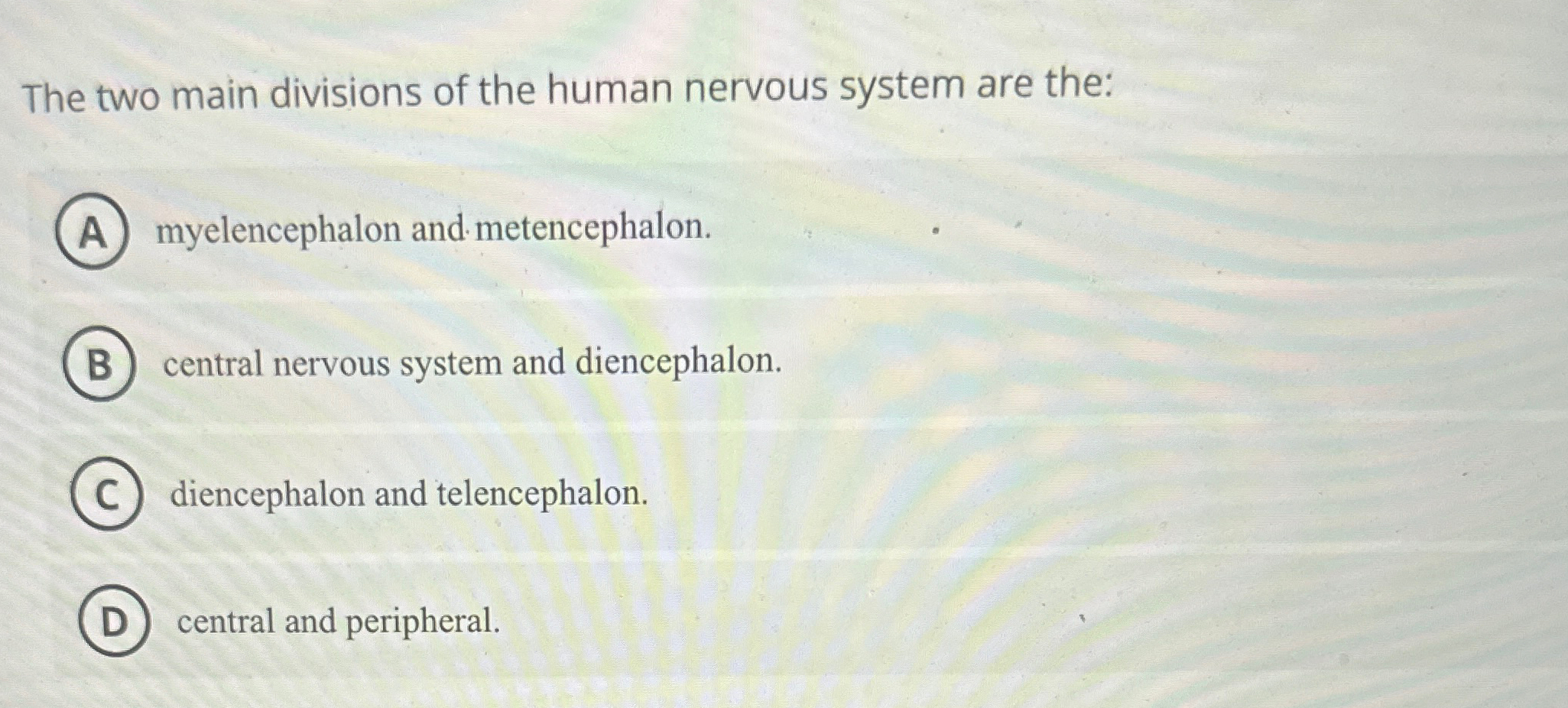 Solved The two main divisions of the human nervous system | Chegg.com