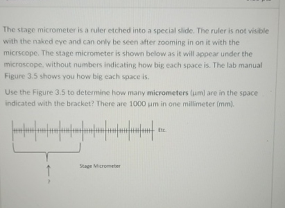 Solved The stage micrometer is a ruler etched into a special | Chegg.com