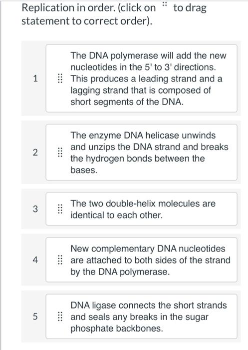 Solved Replication in order. (click on :: to drag statement | Chegg.com