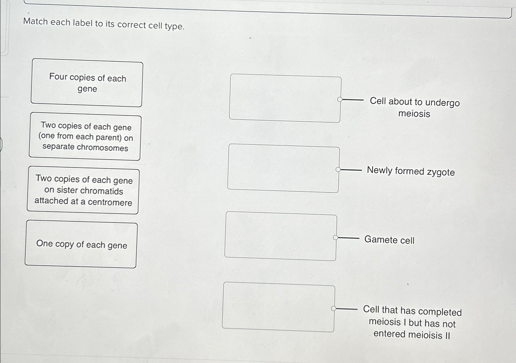 Solved Match each label to its correct cell type. | Chegg.com