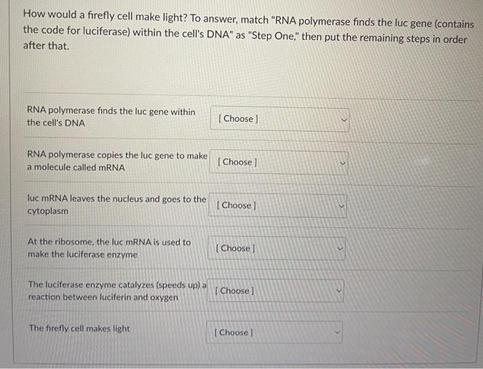 Solved How would a firefly cell make light? To answer, match | Chegg.com