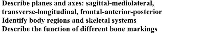Solved Describe planes and axes: sagittal-mediolateral, | Chegg.com